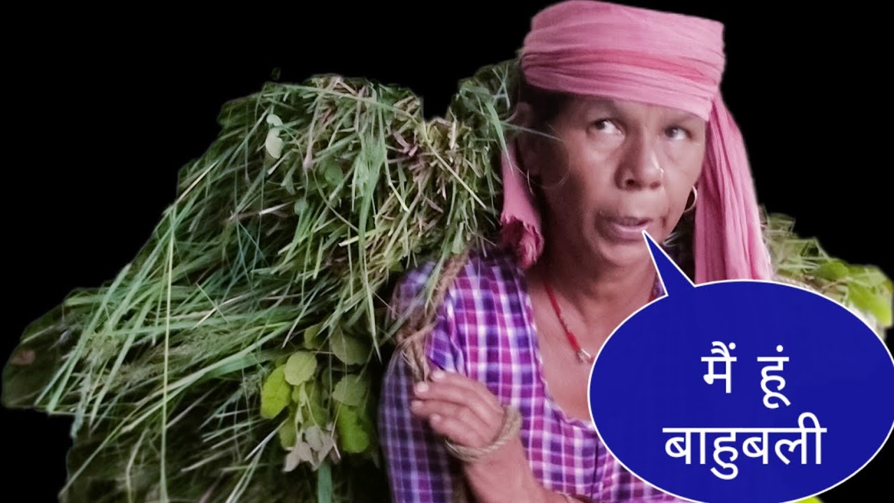 घास काटने का सही तरीका ।। और लेजाते कैसे हैं।पिट पर सब देखऎ ।। jay ...