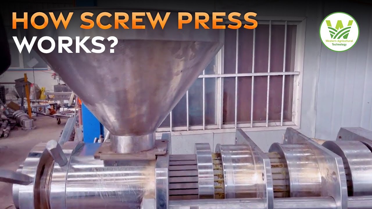 How screw press oil machine work? Oil Press Machine | Western ...