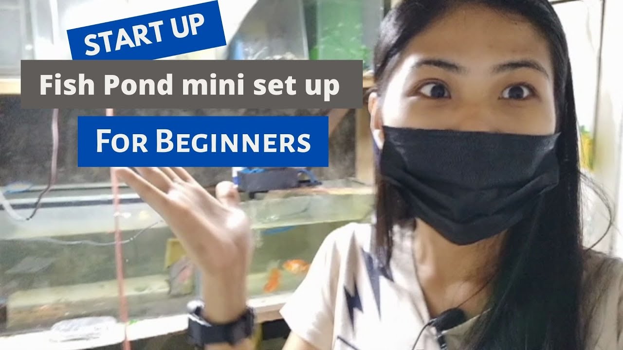 Mini Fishpond backyard/Set up for small backyard fish farming - YouTube