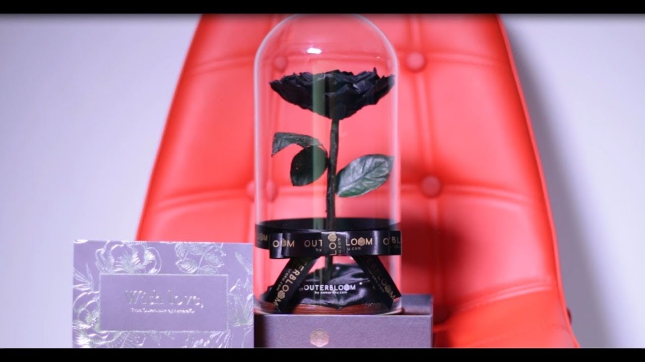 Enchanted Jet Black Rose with Sparkling Swarovski Limited Edition by ...