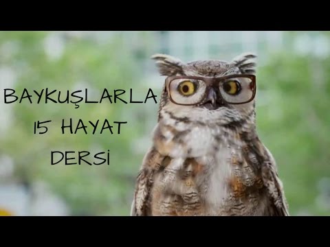 Baykuşlarla 15 Hayat Dersi