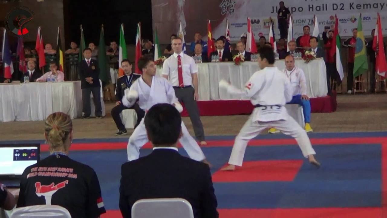 Final male kumite -65 kg the 12th SKIF Karate World Championship ...