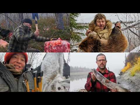 First Seven Episodes Of Alone’s Million-Dollar Contest, Contestant Bags Giant Moose For Endless Meat