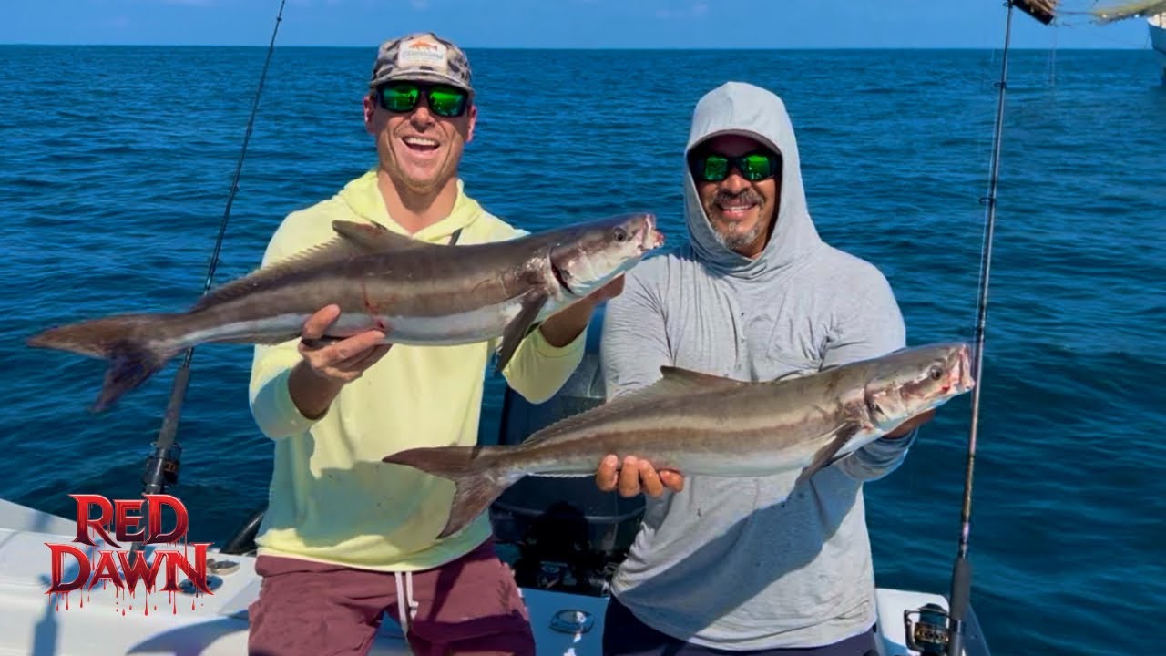 Filling the Freezer - Red Snapper and Schools of Cobia - YouTube