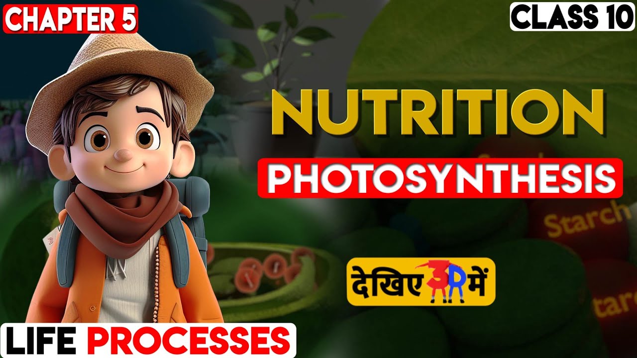 🔥NCERT Science Class 10: Chapter 5 - Part-10 | Life Processes In 3D ...