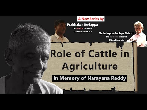 Role of Cattle in Agriculture | ಕೃಷಿಯಲ್ಲಿ ಜಾನುವಾರುಗಳ ಪಾತ್ರ | Dr. L ...