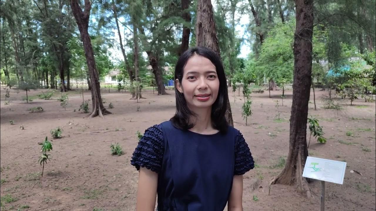 แนวปฏิบัติที่ดีในการจัดการเรียนรู้วิทยาศาสตร์ (best practice ipst) - YouTube