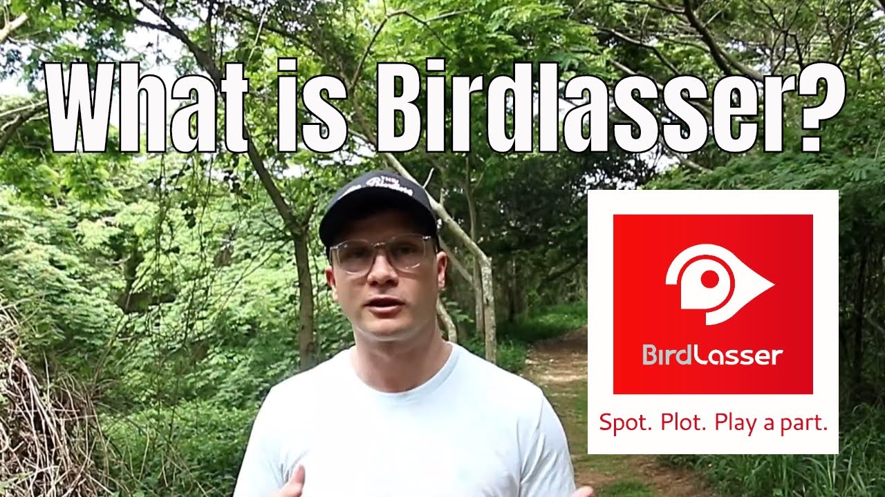What is Birdlasser? | The Birding Life - YouTube