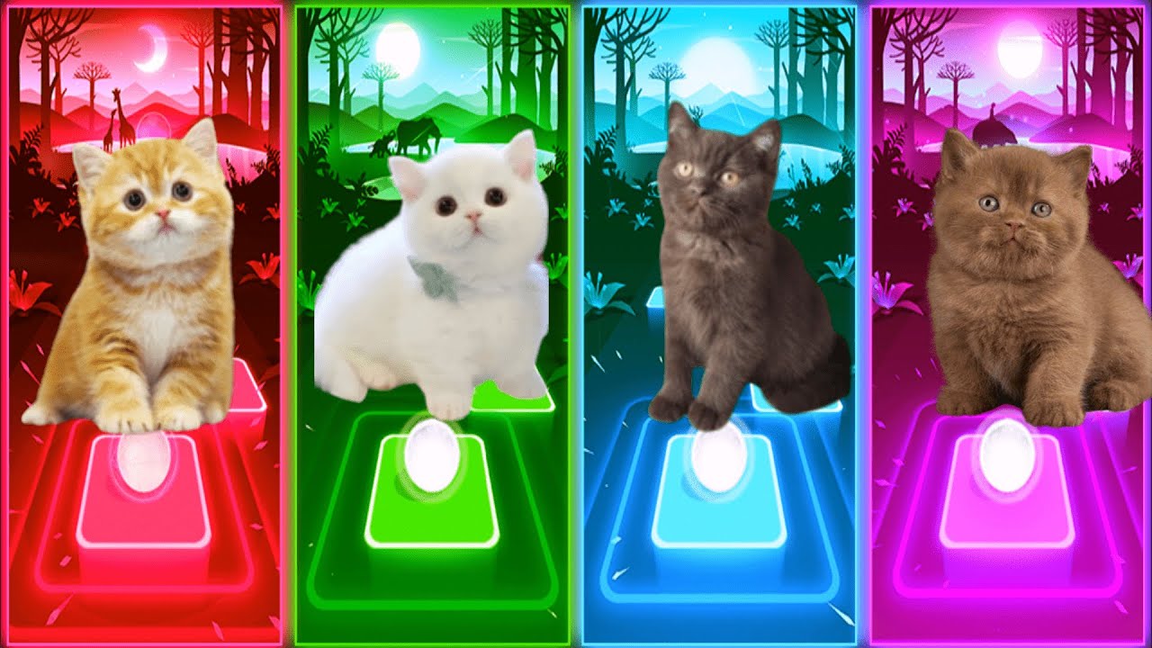 CUTE CATS - JENNIE SOLO - JISOO FLOWER - WELLERMAN - BTS DYNAMITE in ...