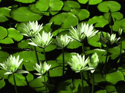 διωξε τα συννεφα - YouTube