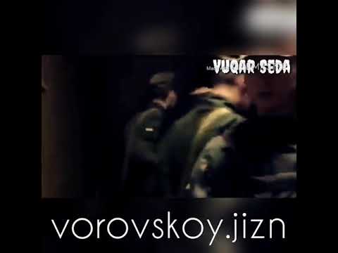 Voraviskoy alemi