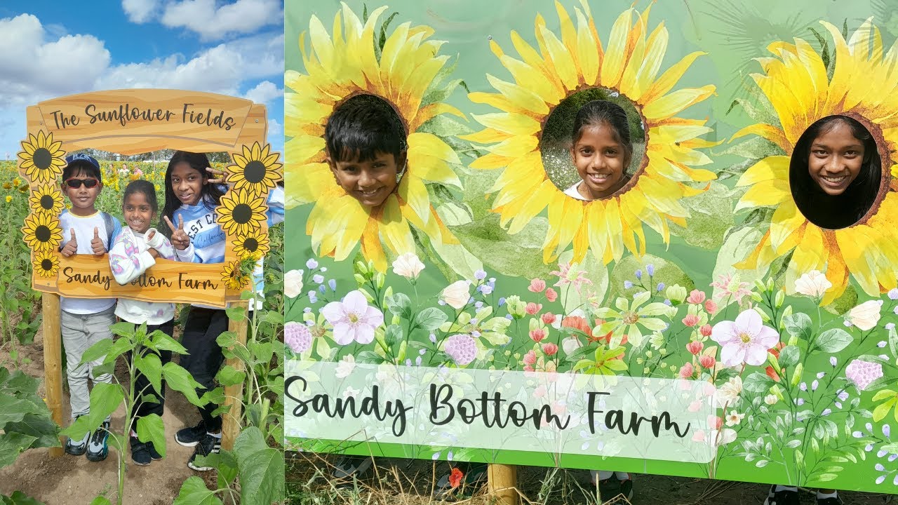 Sandy Bottom Farm - YouTube