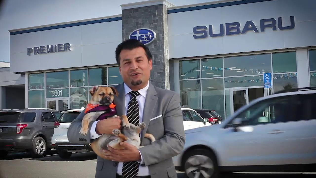 Premier Subaru of Fremont-Trade Up Advantage - YouTube