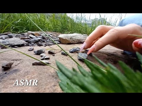 ASMR Outdoor - Concrete Scratching and Tapping on Trees, Rocks , Roads ...