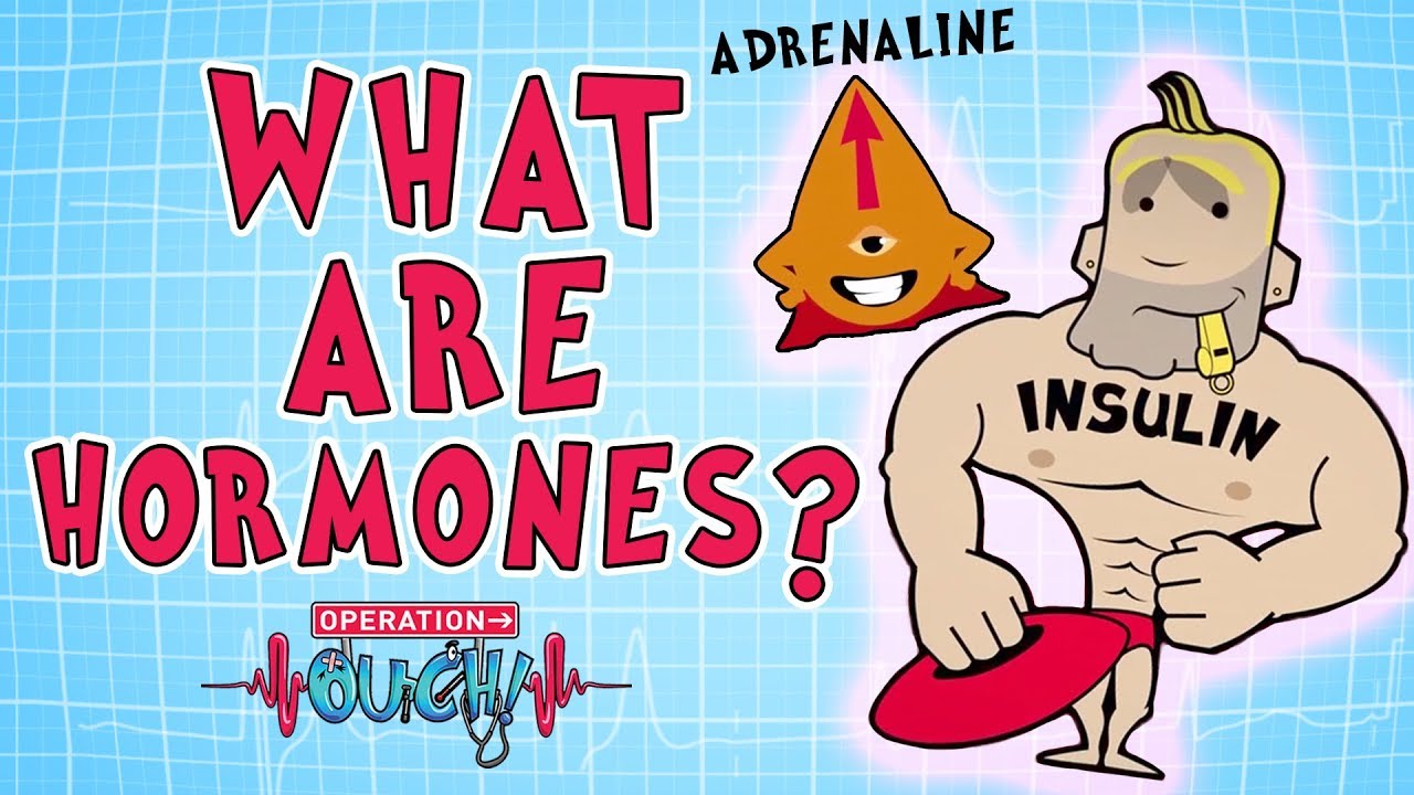 Operation Ouch - Hormones | Biology for Kids - YouTube