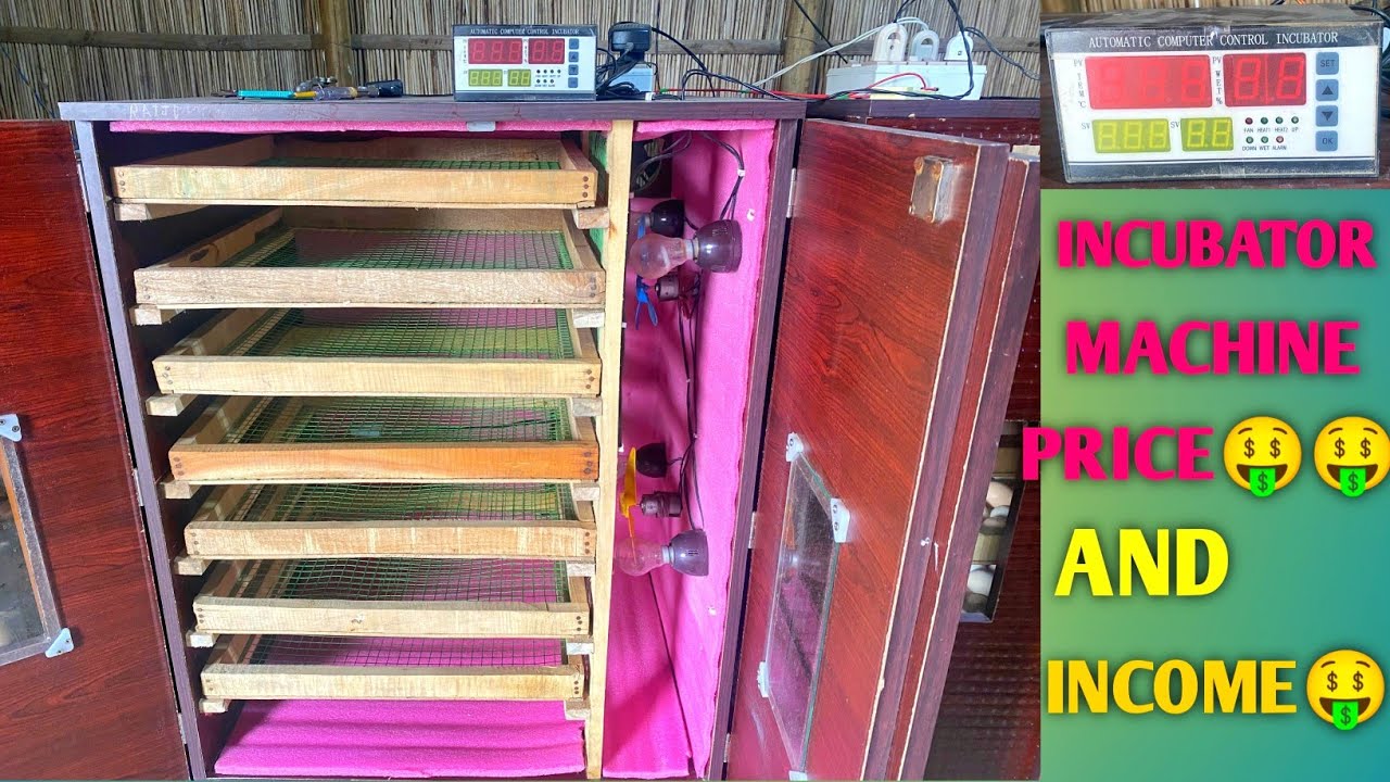 HOW TO MAKE INCUBATOR MACHINE 🤔| incubator machine total price🤑 ...