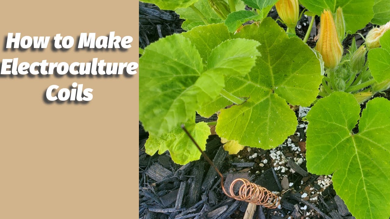 How to Make Electroculture Coils #gardenhacks #garden - YouTube