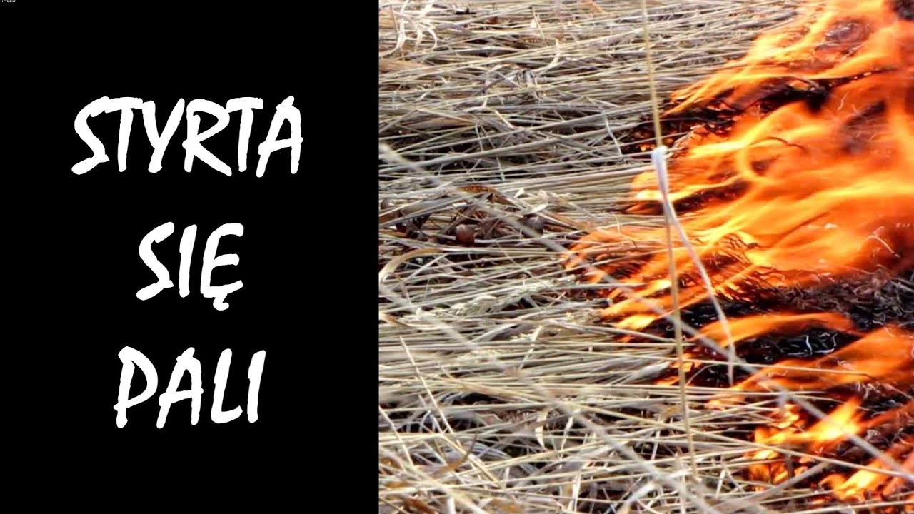 Styrta Się Pali | Piosenka - YouTube