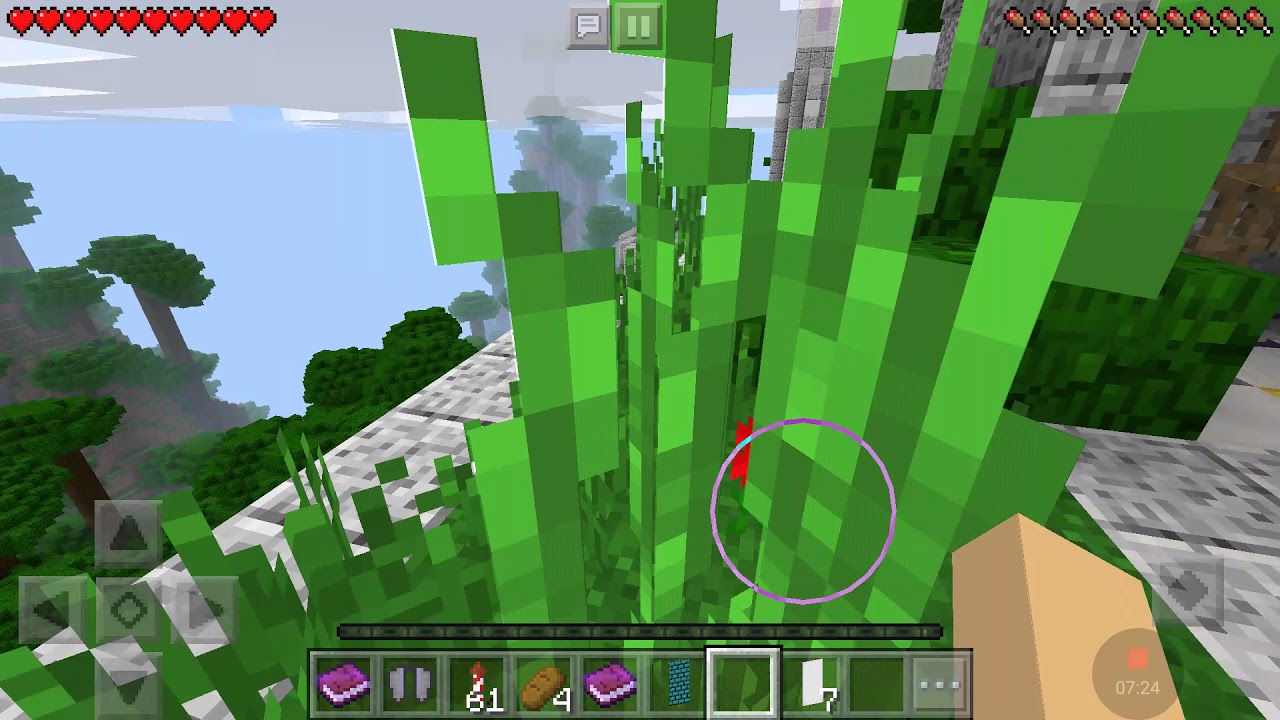 Minecraft PE Purple palace parrot party map part two - YouTube