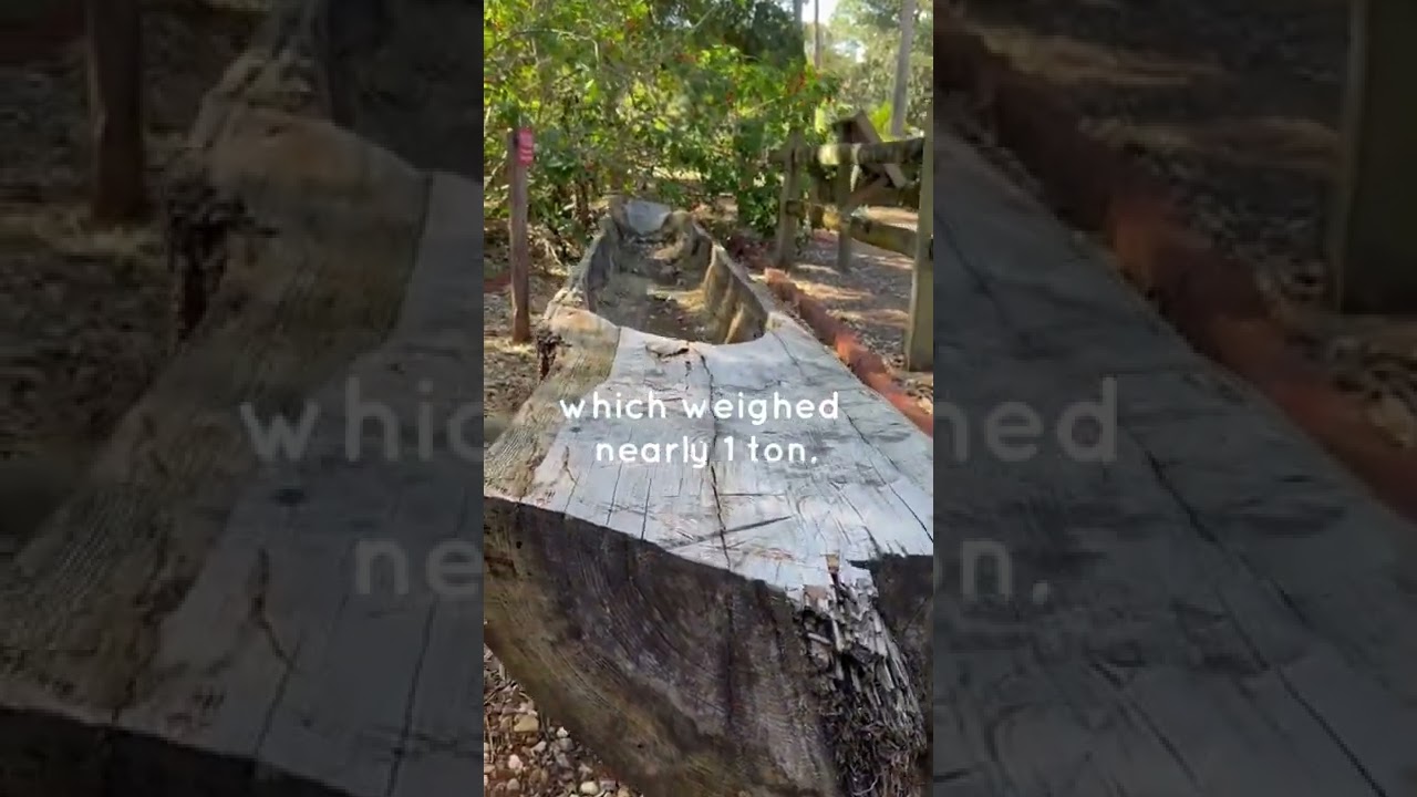 Native American Dugout Canoe - YouTube