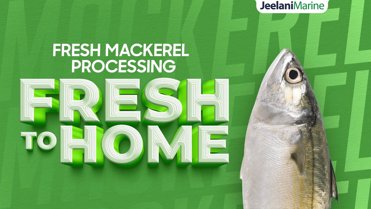 From the Ocean to Your Plate: Mackerel Packing Process in a Seafood ...