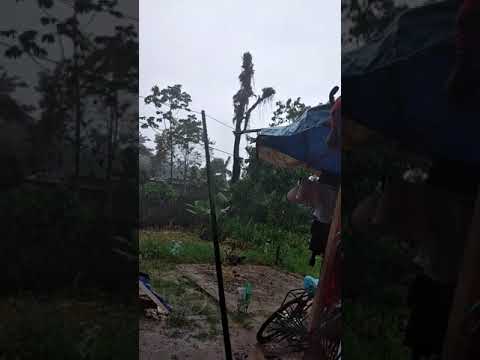 A DONA CHAMOU ELE DE \