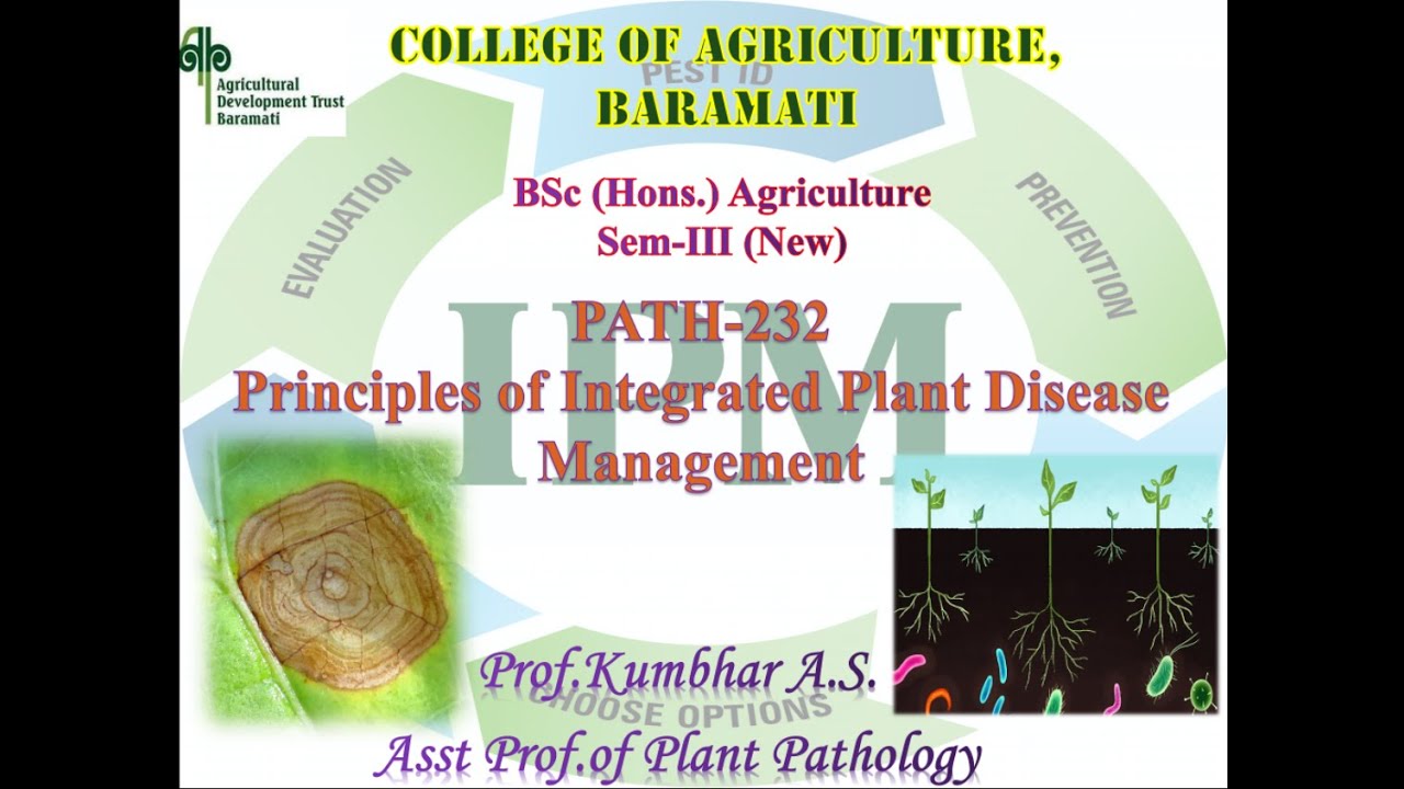 11 implementation & impact of IPM Module part 1 - YouTube
