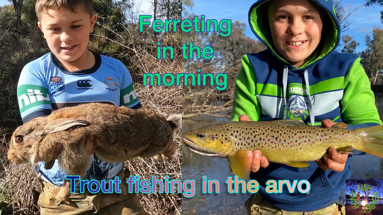 Ferreting Australia episode 2 with bonus trout fishing - YouTube