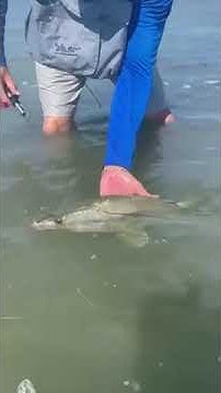 Capt. Ernest Cisneros Urges 100% C&R of Texas Snook - YouTube