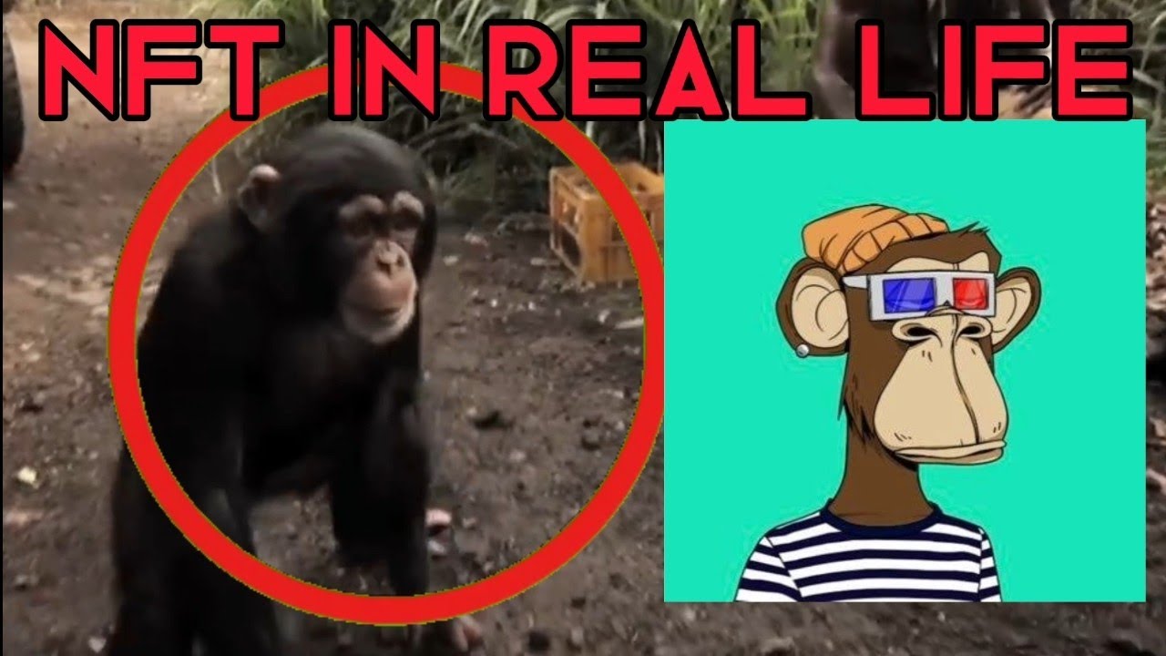 NFT Ape in real life 😱 - YouTube
