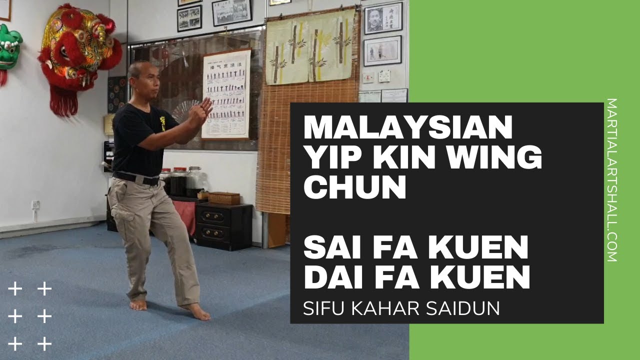 Malaysia Yip Kin Wing Chun - Sai Fa kuen & Dai Fa kuen - YouTube