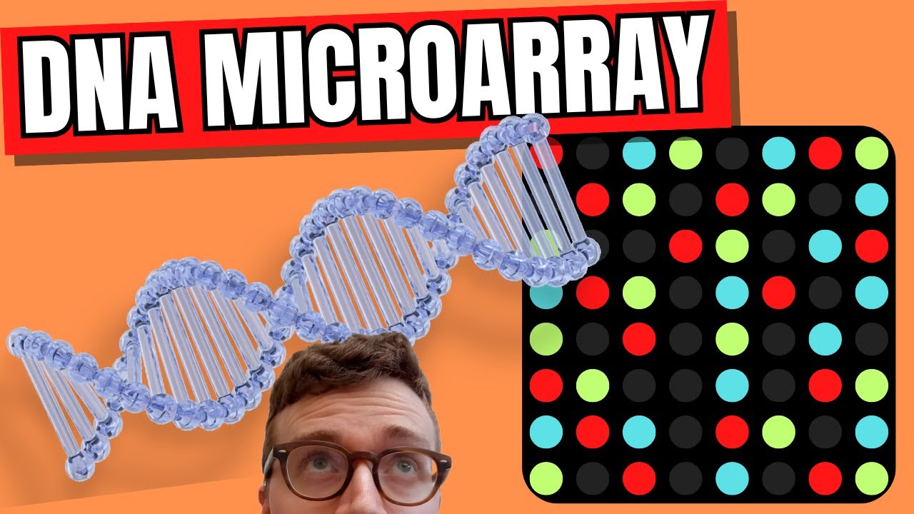 Dna Microarray Technique Dna Chip Youtube