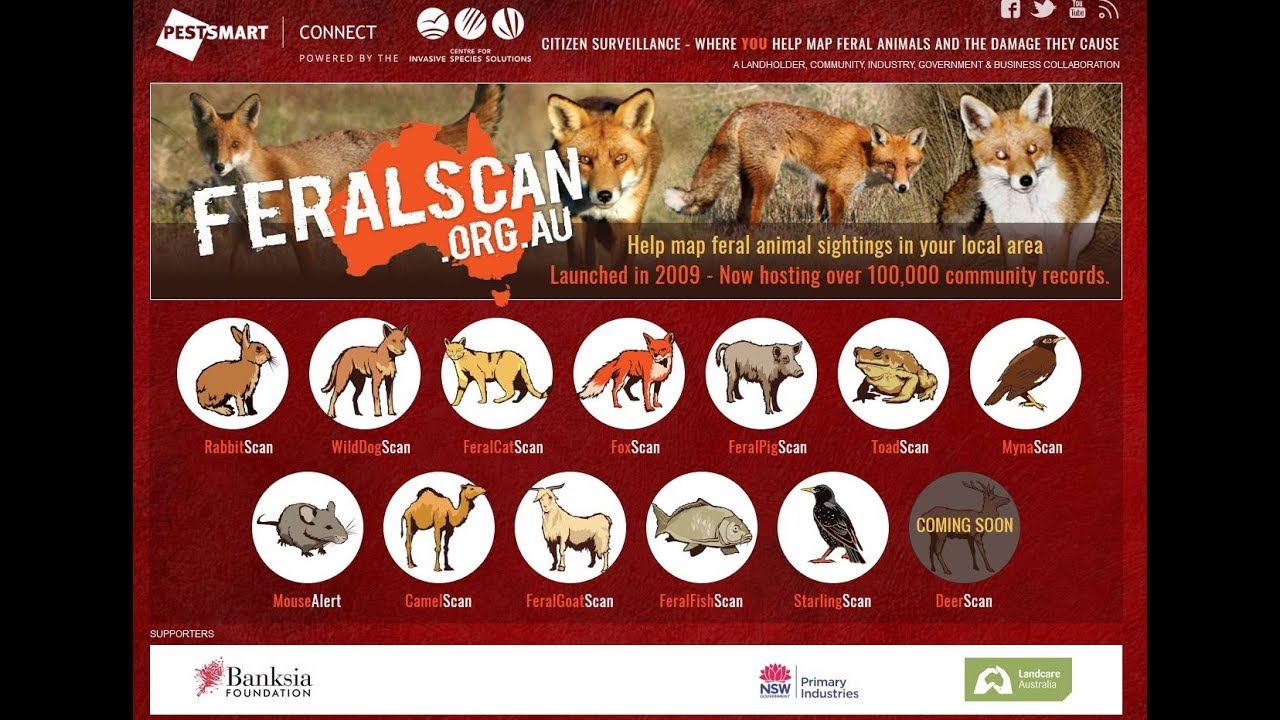 P West - FeralScan Community-based Invasive Species Monitoring - YouTube