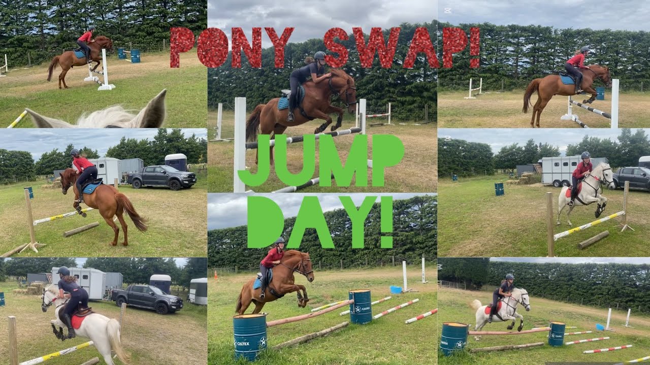 Jumping Day + Pony Swaps! Vlogmas Day 4 - YouTube