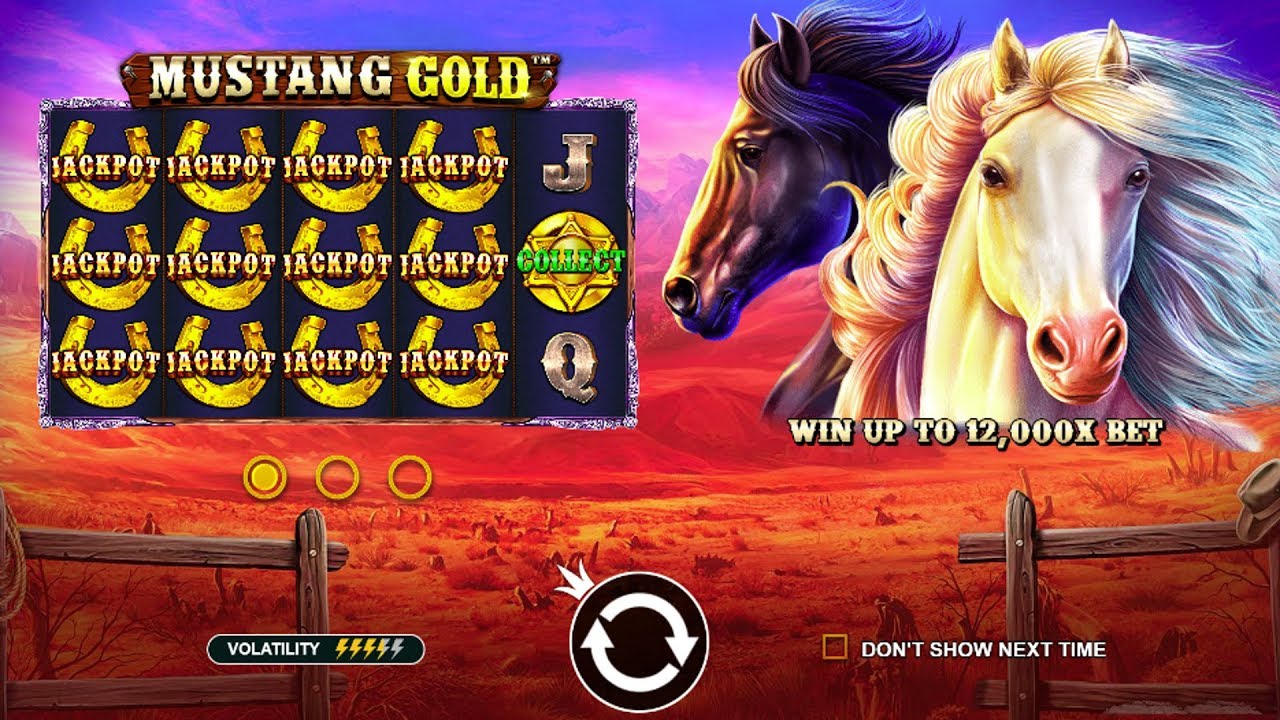 👑 Mustang Gold Dual Big Wins 💰 A Game By Pragmatic Play. - YouTube