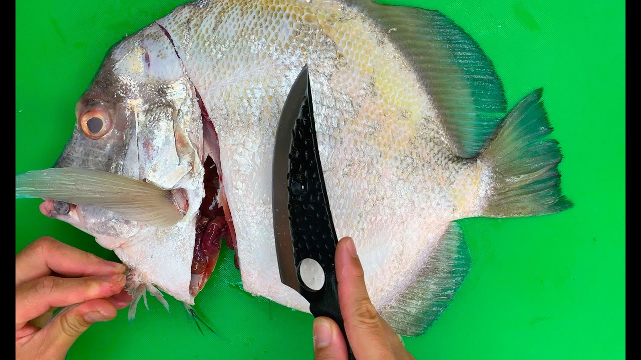 How To Fillet Spade Fish - YouTube