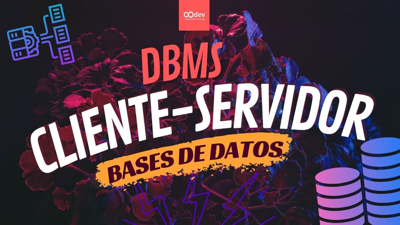 Aprende sobre Bases de Datos: DBMS y Cliente-Servidor - YouTube