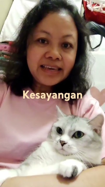 kesayangan ya meong di manja'di digendong... - YouTube