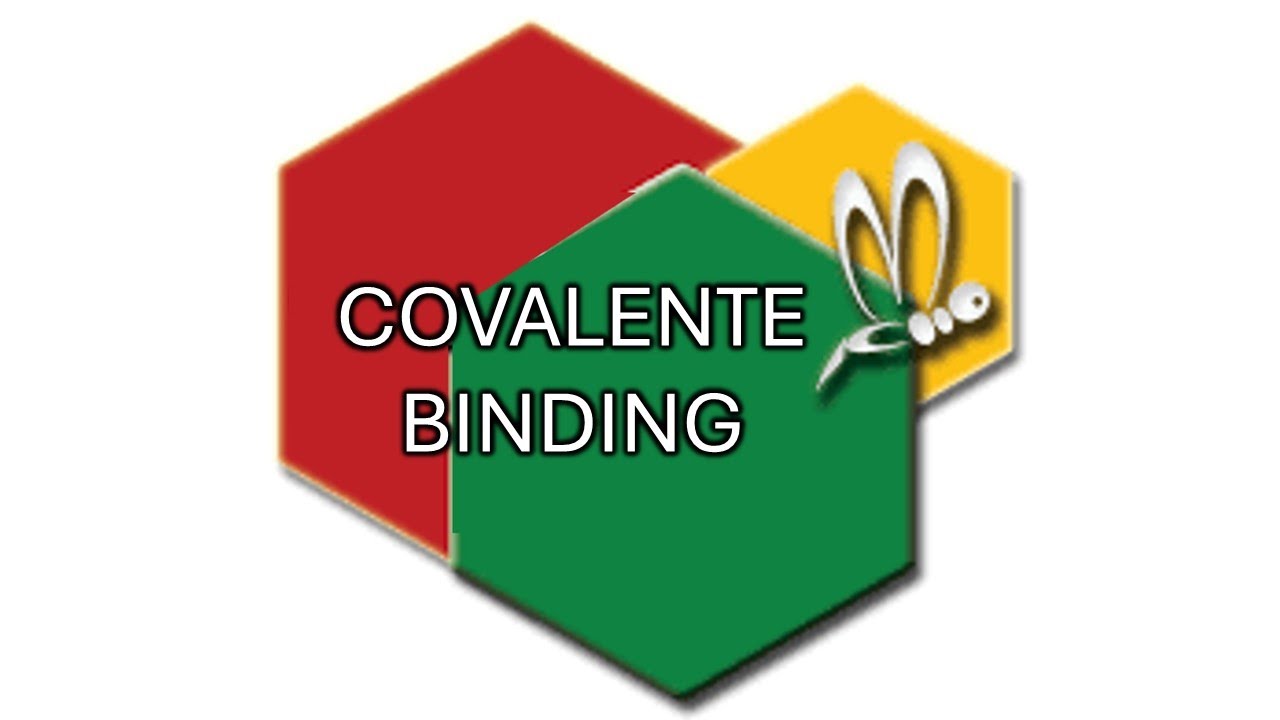 Covalente binding - YouTube