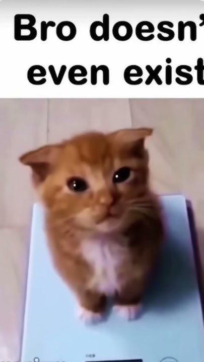 Bro Doesnt Even Exist🤣 Memes Youtube