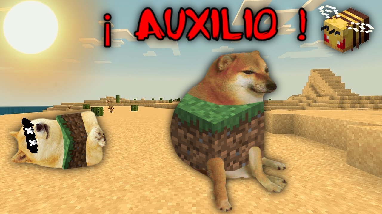 ABANDONADOS EN EL DESIERTO - DOGE Y CHEEMS EN MINECRAFT 4k - YouTube