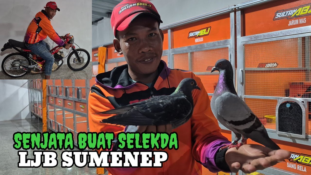 Bongkar player team sultan abj sumenep 24 Juli 2025 - YouTube