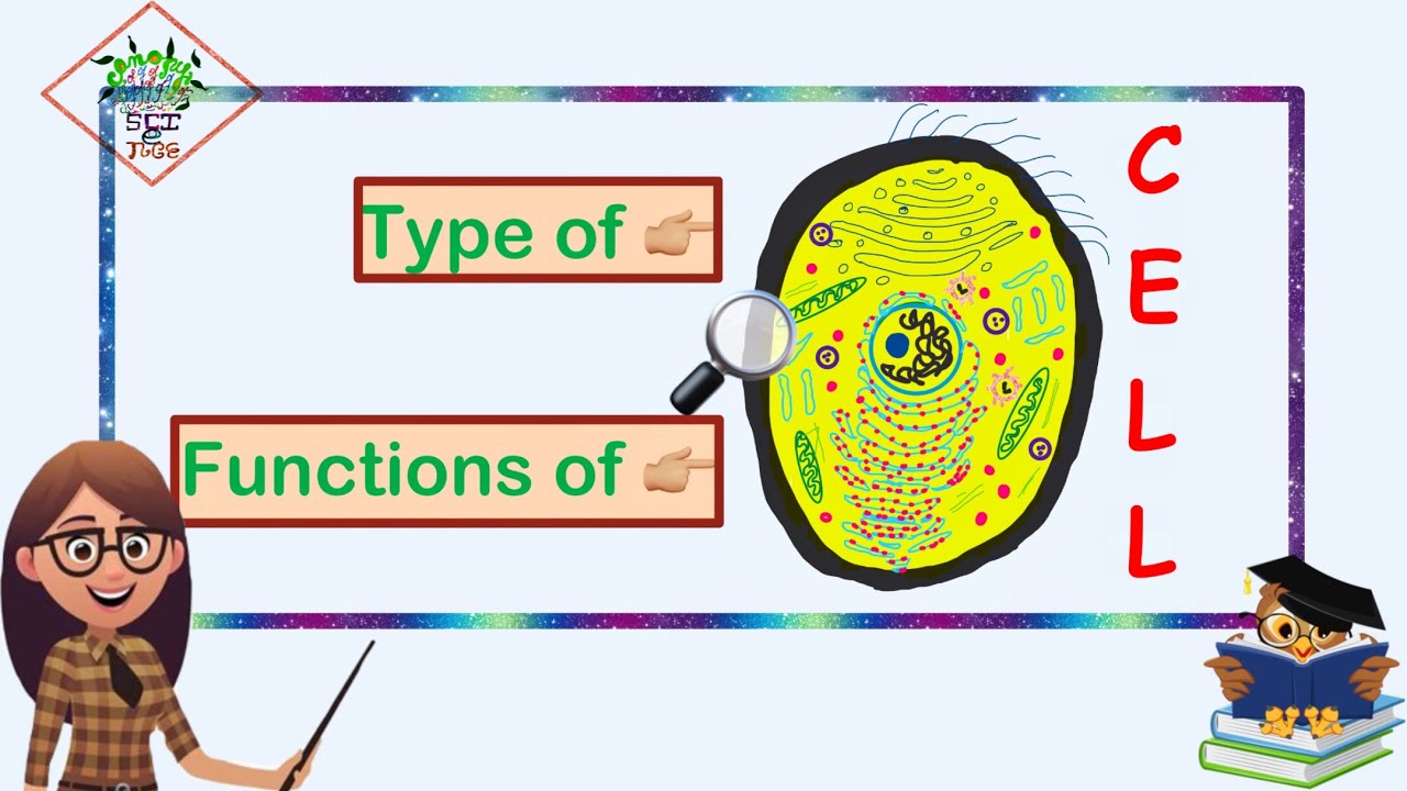 CELL| Types Of Cells| Functions Of Cell| Class 5| Class 6| Class 7 ...