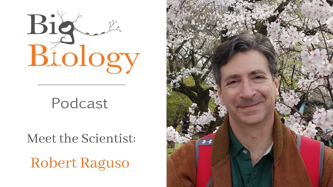 Meet the Scientist: Rob Raguso - YouTube