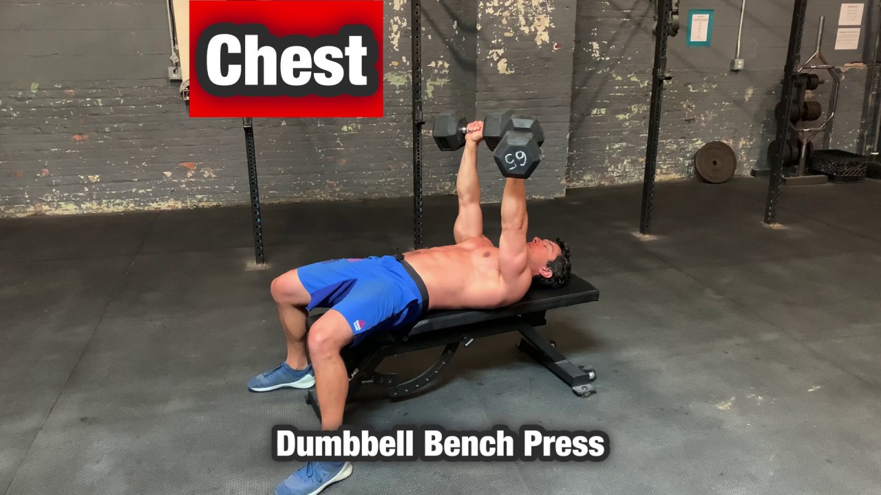 Dumbbell Bench Press - Chest, Pec Exercise Workout - YouTube