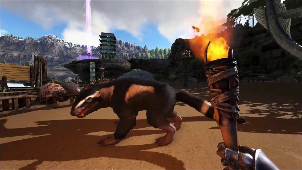 Let's play hide and seek - Perlovia (Badger) Tame - YouTube