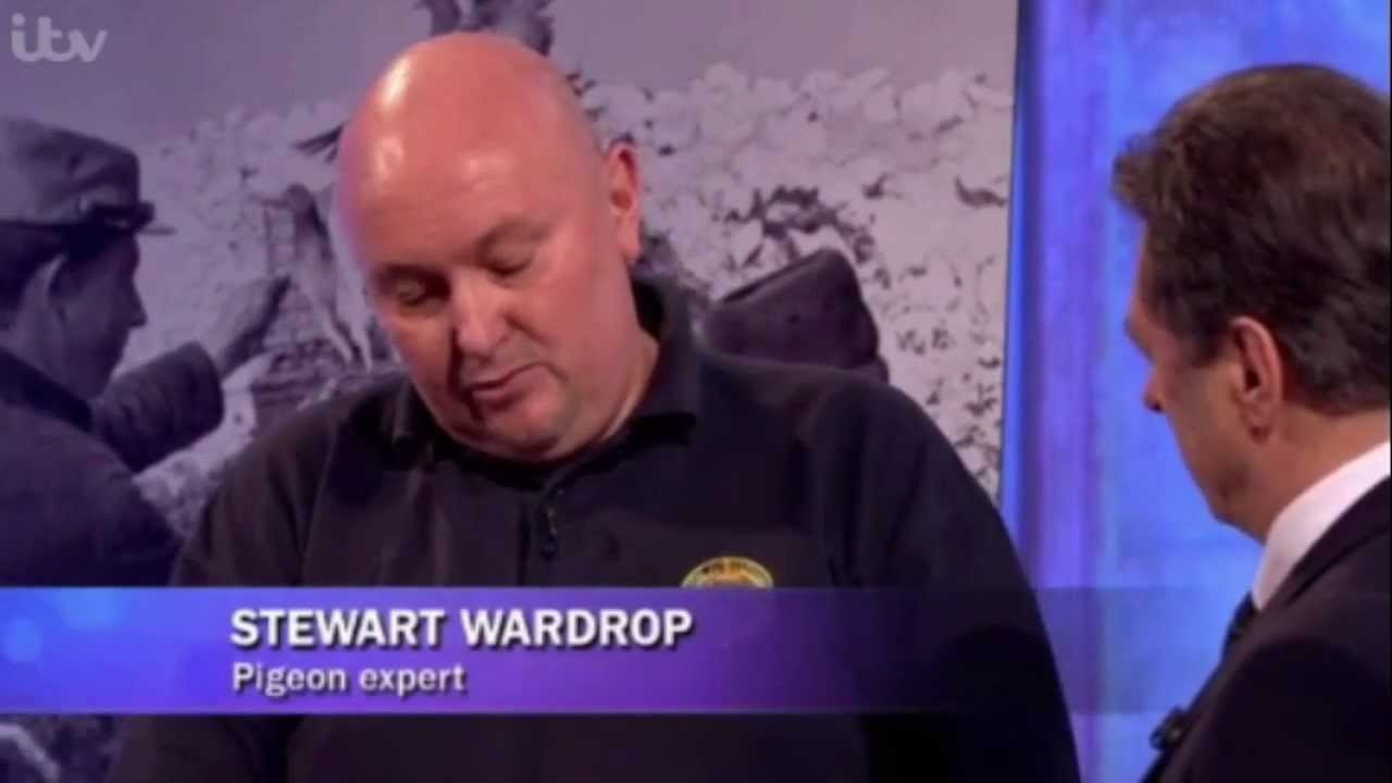 Stewart Wardrop RPRA General Manager Alan Titchmarsh Show - YouTube
