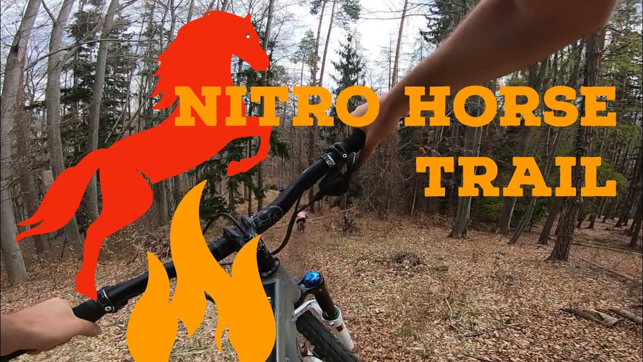 Good Times am Nitro Horse Trail - YouTube