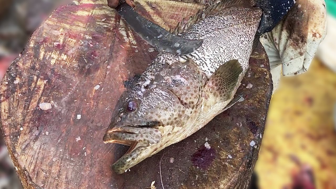 Grouper/ Reef cod fish Cutting& Chopping in Indian fish market - YouTube