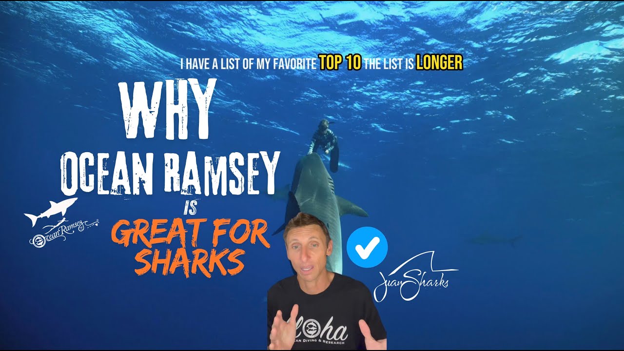 90 seconds on WHY Ocean Ramsey is GREAT for Sharks #Shark # ...